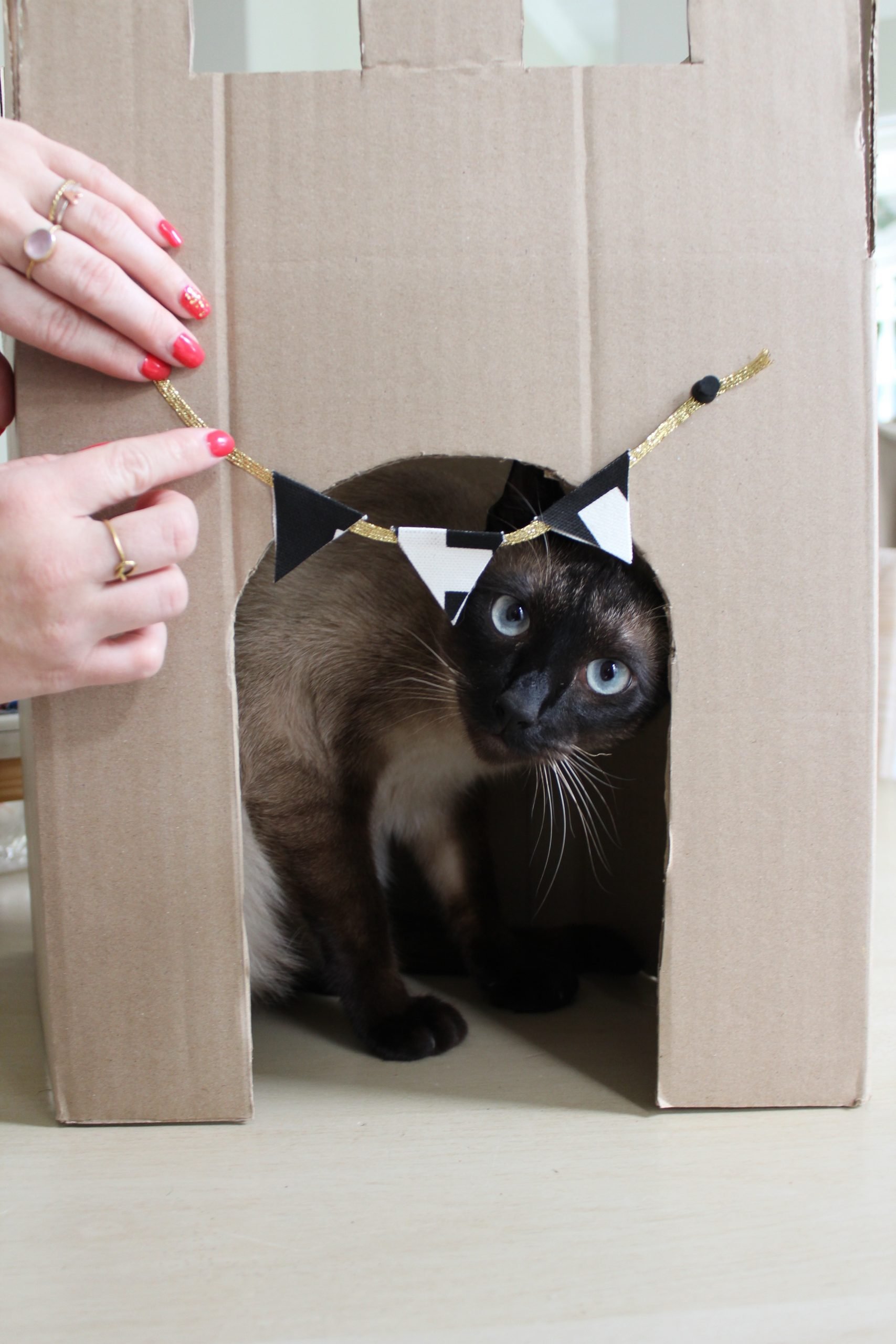 DIY Kitty Castle - Melissa Louise